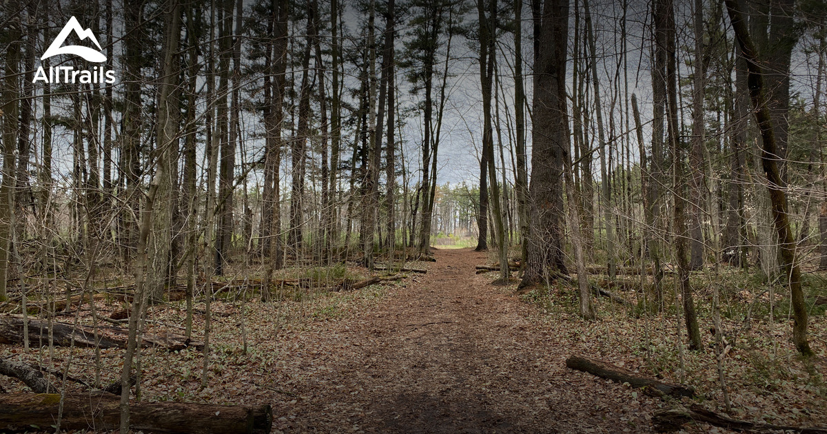 Best Trails in Beattie Pinery Provincial Park - Ontario, Canada | AllTrails