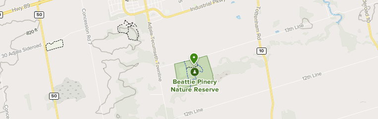 Best Trails in Beattie Pinery Provincial Park - Ontario, Canada | AllTrails