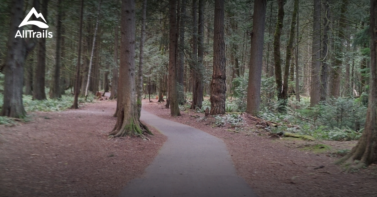 Best Trails in Colliery Dam Park - British Columbia, Canada | AllTrails