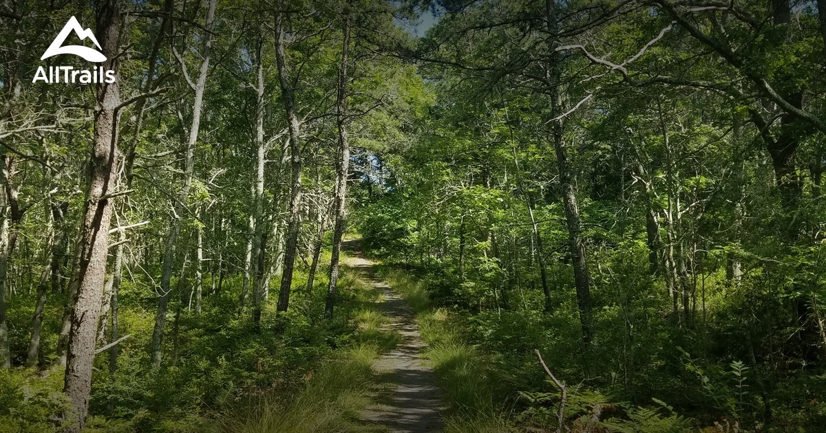 Best hikes and trails in West Barnstable Conservation Area | AllTrails