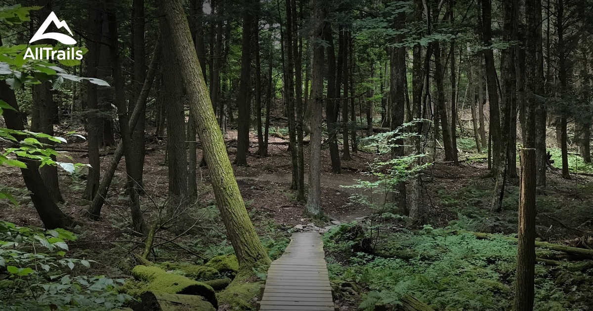 Best hikes and trails in Mud Pond Country Park | AllTrails