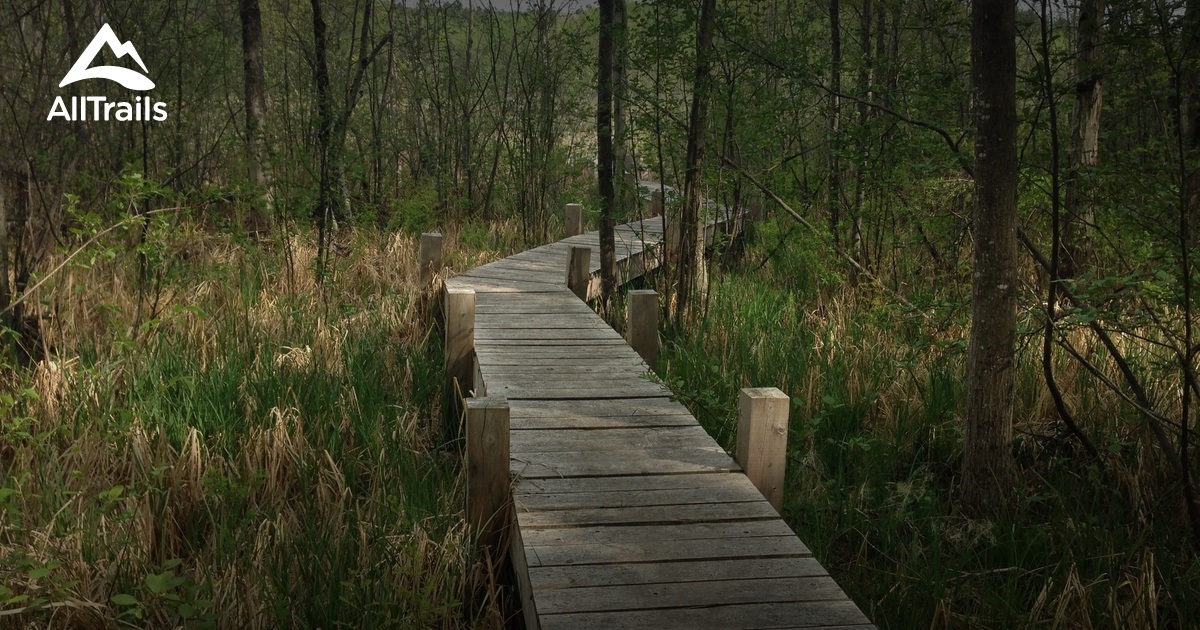 Best hikes and trails in Mud Pond Conservation Area | AllTrails