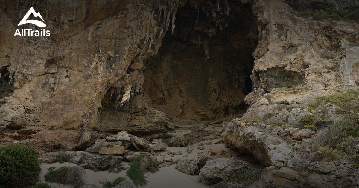 Ravine des Casoars Wilderness Protection Area : les meilleurs ...