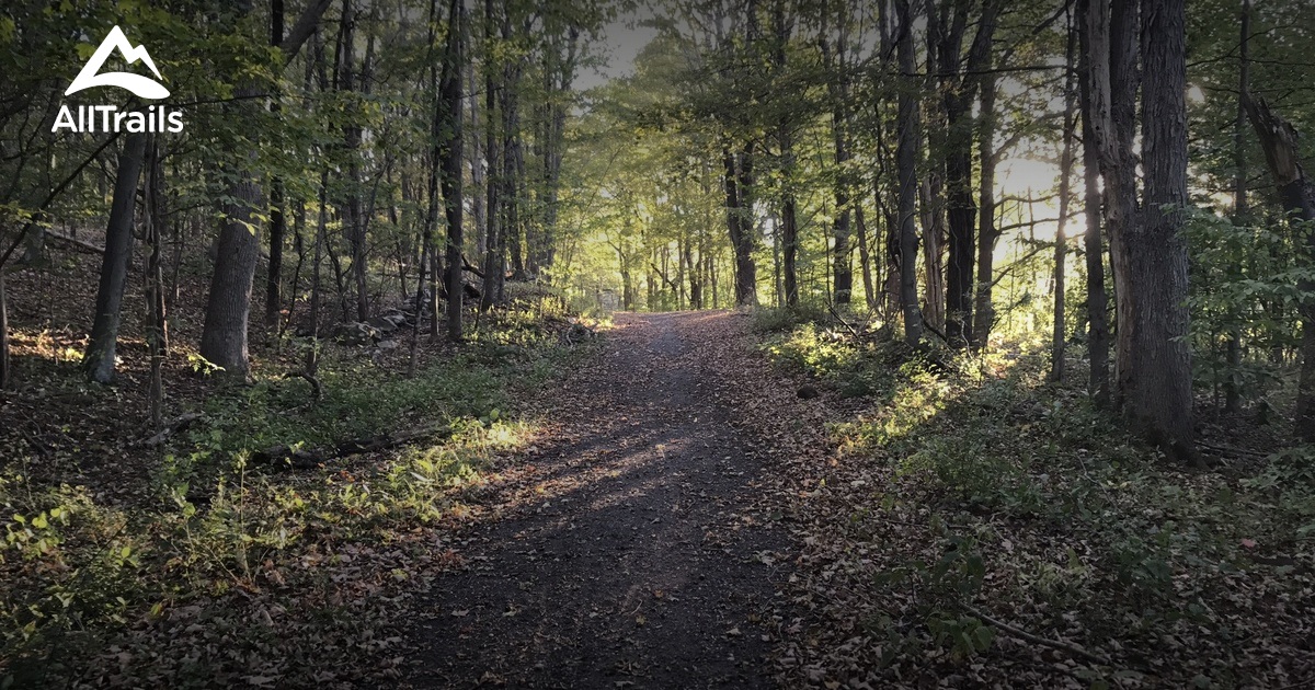 Best hikes and trails in Tyler Mill Preserve | AllTrails