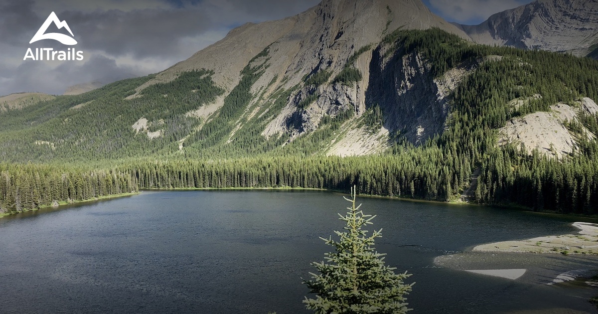Best hikes and trails in Wapiti Lake Provincial Park | AllTrails