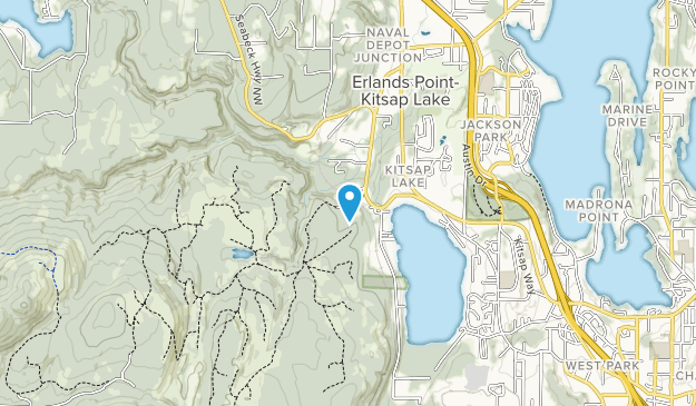 Best Trails in Ueland Tree Farm - Washington | AllTrails