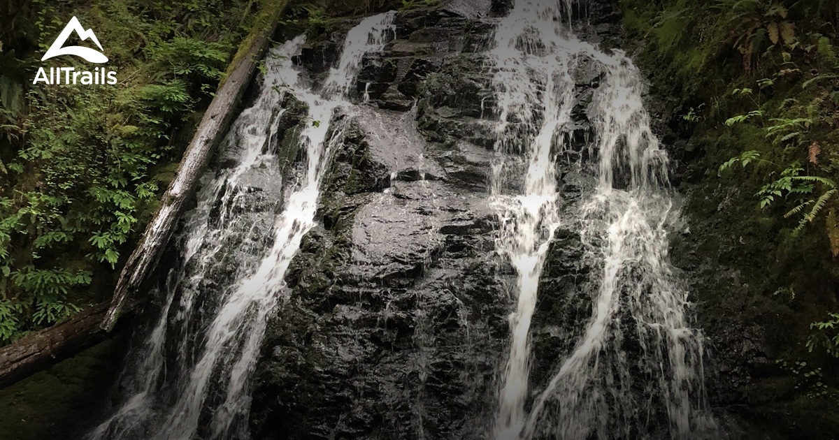 Best Trails in Ueland Tree Farm - Washington | AllTrails