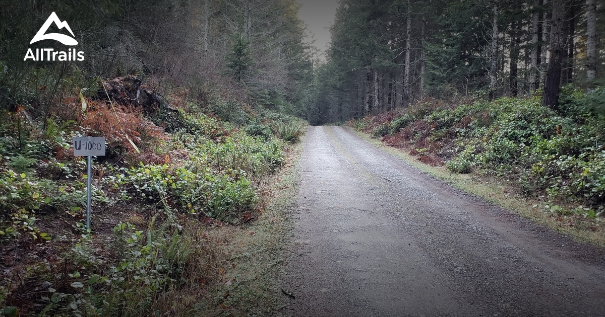 Best Trails in Ueland Tree Farm - Washington | AllTrails