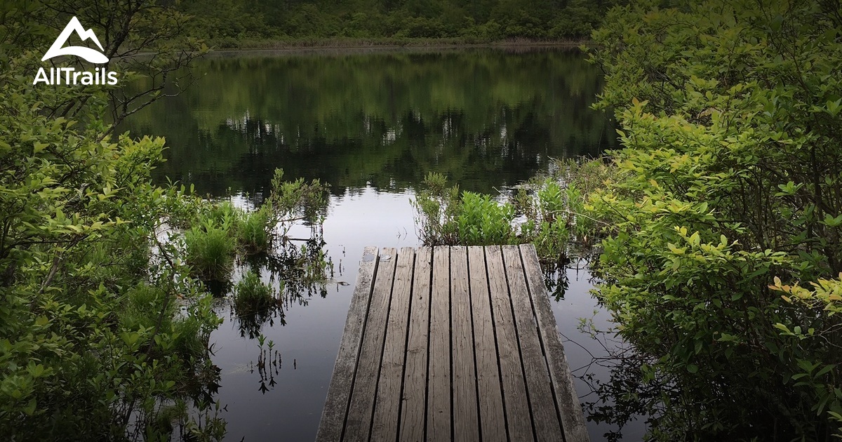 Best Trails in Ward Reservation - Massachusetts | AllTrails