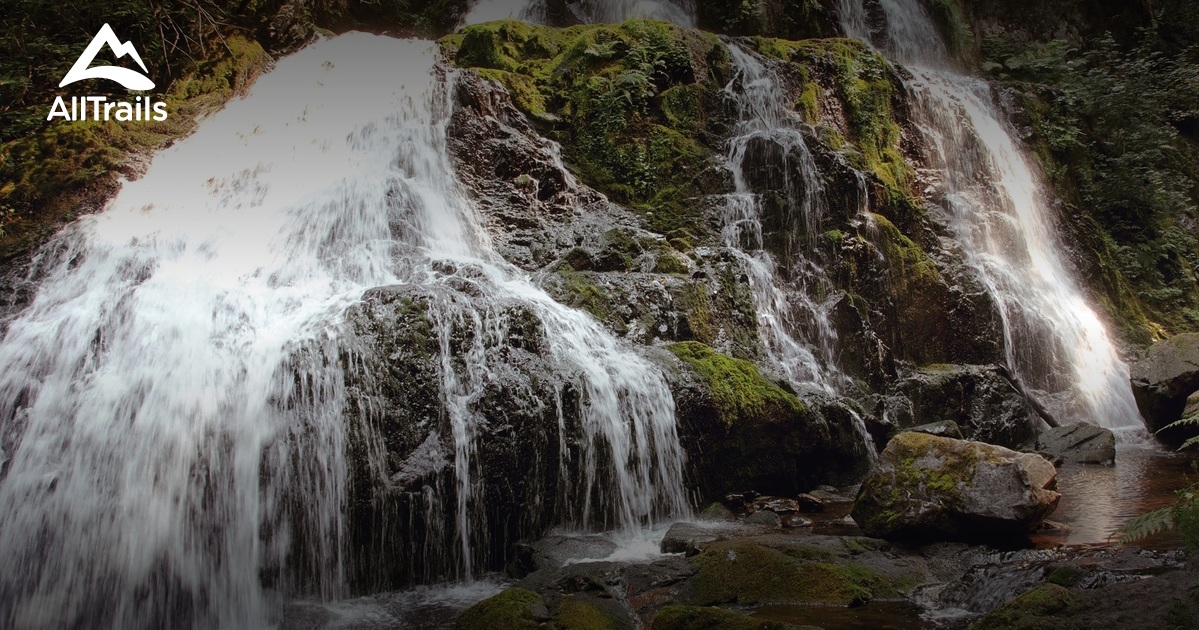 Best Trails in Hayward Lake Recreation Area - British Columbia, Canada ...
