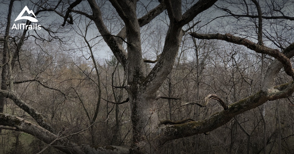 Best walking trails in Willoughby Heritage Farm | AllTrails