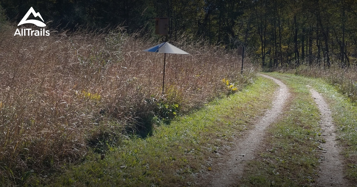 Best hikes and trails in Hashawha Environmental Center | AllTrails