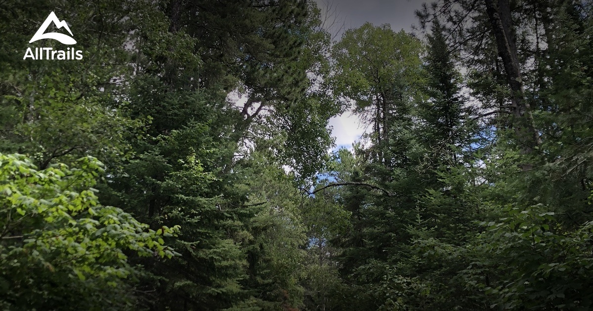 Best hikes and trails in Vernon Nature Area | AllTrails