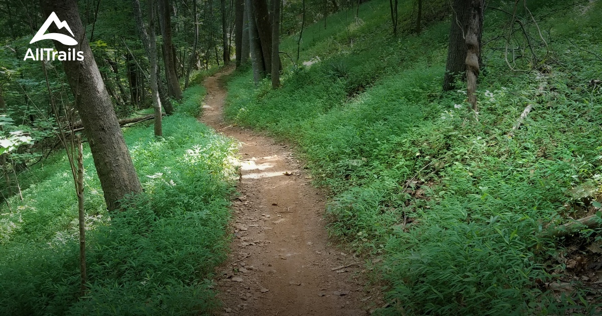 Best hikes and trails in Geitner Rotary Park | AllTrails