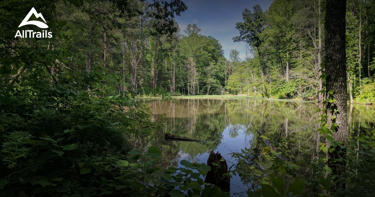 Best hikes and trails in Ribbonwalk Nature Preserve | AllTrails