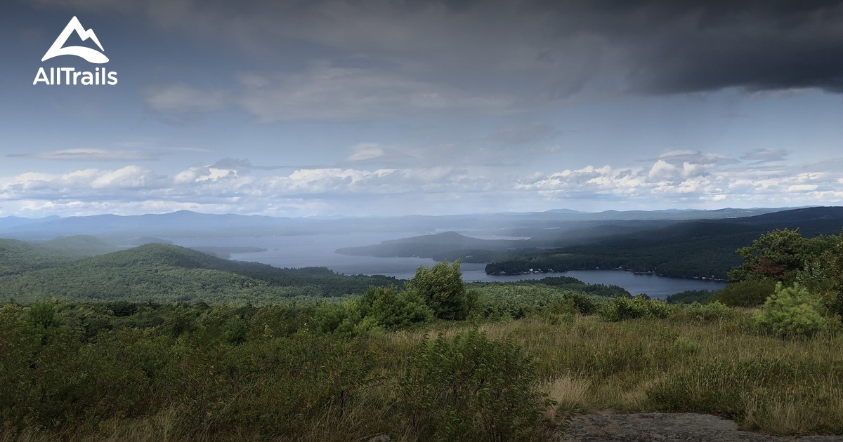 Die Besten Einfachen Routen in Alton Town Forest | AllTrails