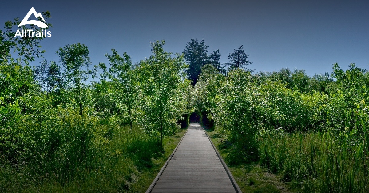 Best hikes and trails in Wetland Park | AllTrails