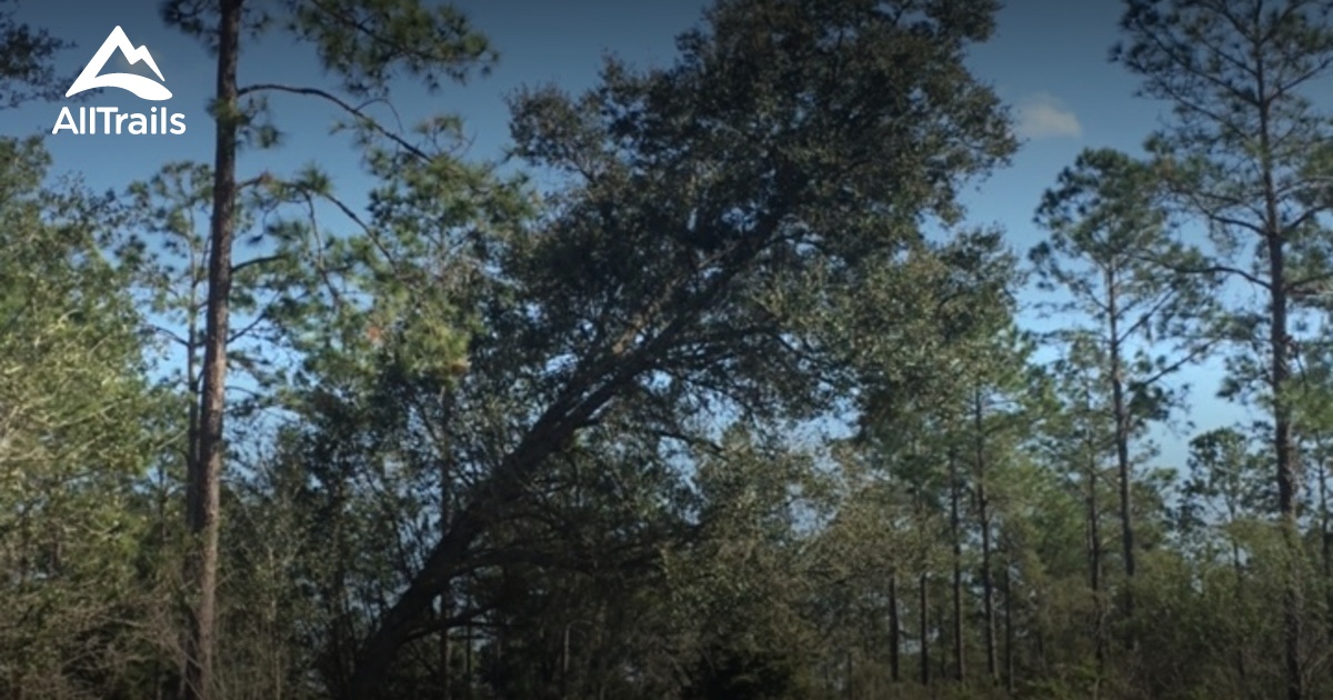 Best Trails in Lower Green Swamp Nature Preserve - Florida | AllTrails
