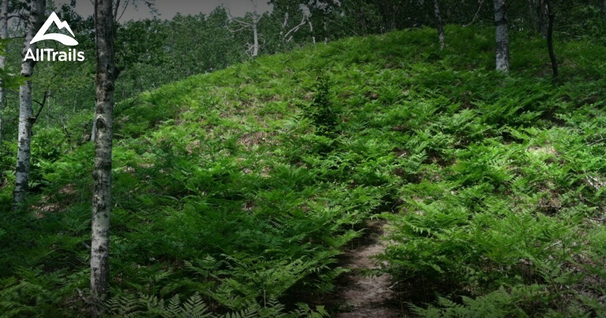 Best hikes and trails in Whaleback Natural Area | AllTrails