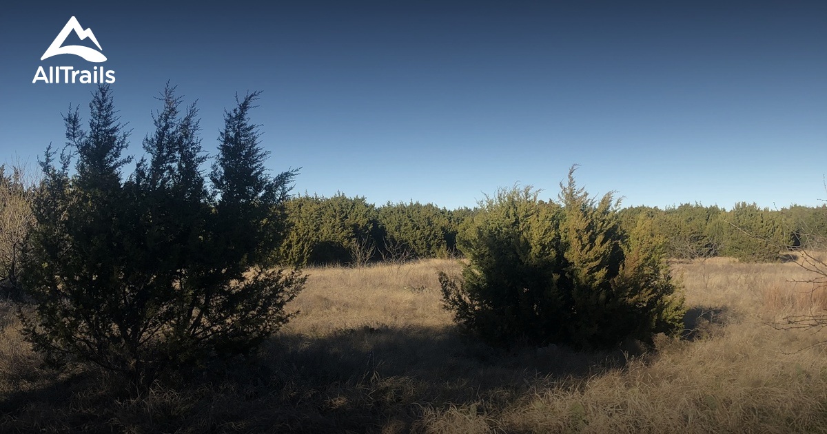 Best hikes and trails in Acton Nature Center | AllTrails