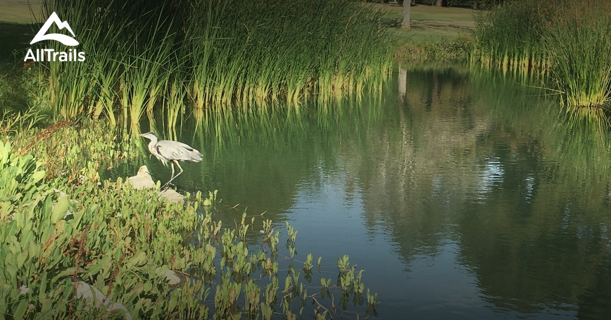 Best Hikes and Trails in El Dorado East Regional Park | AllTrails