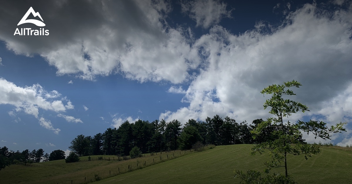 Los mejores senderos fácilesen Matthews State Forest | AllTrails