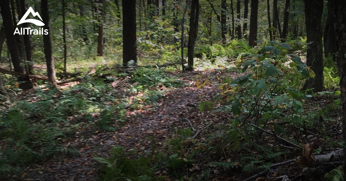 Best trail running trails in Fork Run Recreation Area | AllTrails