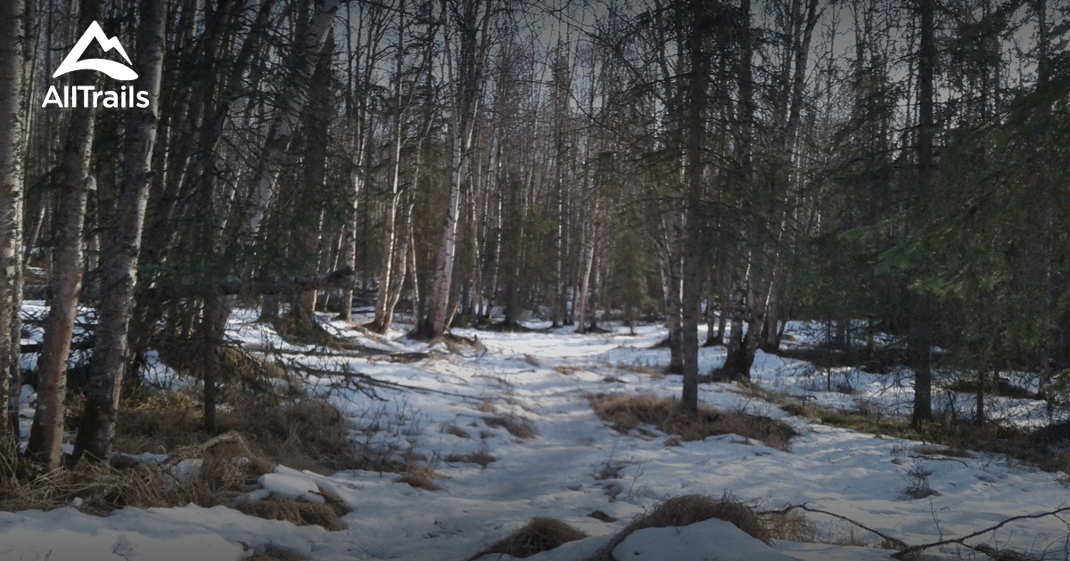Best hikes and trails in Basher Park | AllTrails