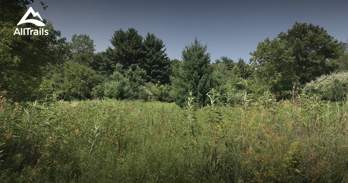 Boone Creek Conservation Area : les meilleurs parcours de trail | AllTrails