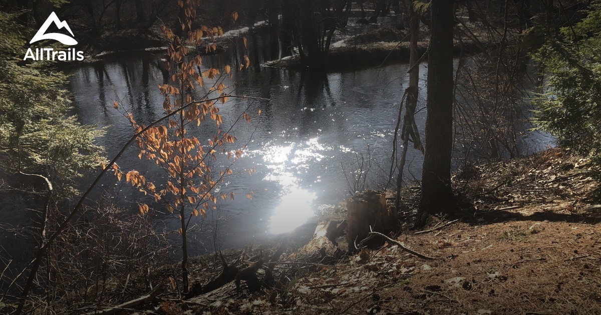 Best hikes and trails in McCabe Forest | AllTrails