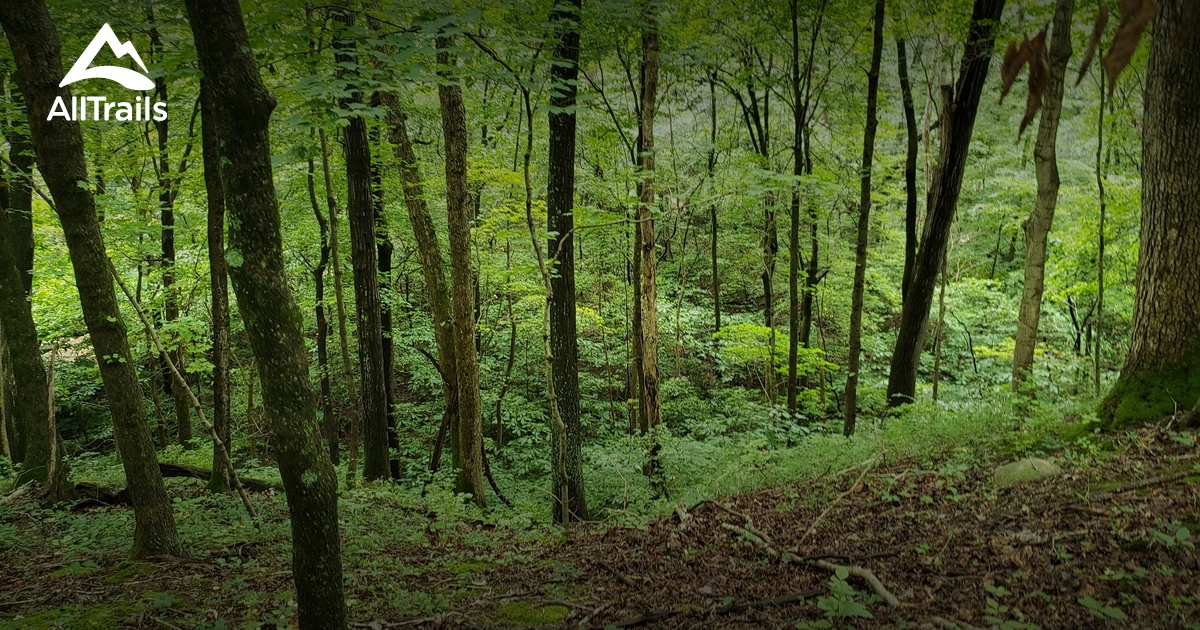 Best hikes and trails in Warbler Ridge Conservation Area | AllTrails