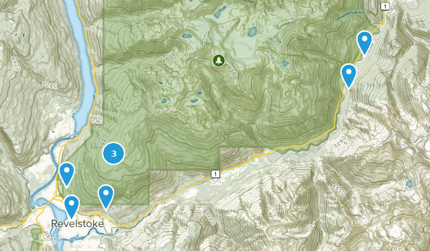 Best Trails in Mount Revelstoke National Park - British Columbia ...