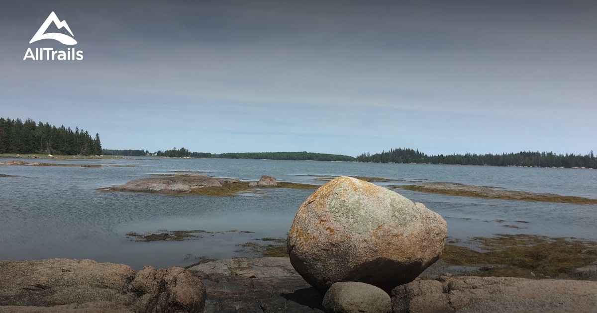 Best hikes and trails in Shore Acres Preserve | AllTrails