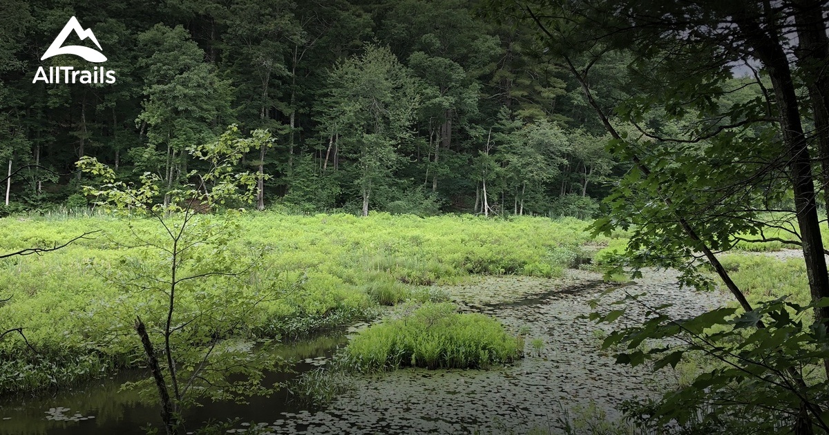 Best hikes and trails in Salem Town Forest | AllTrails