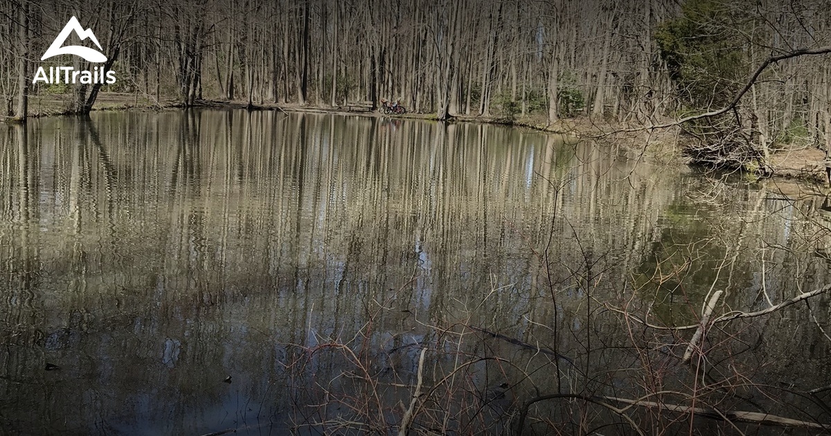 Best hikes and trails in Meadow Ridge Park | AllTrails