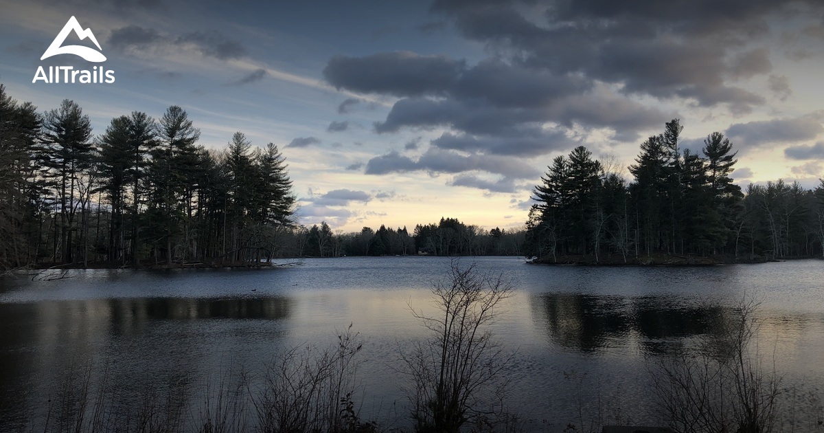 Best hikes and trails in Allanach-Wolf Woodlands | AllTrails