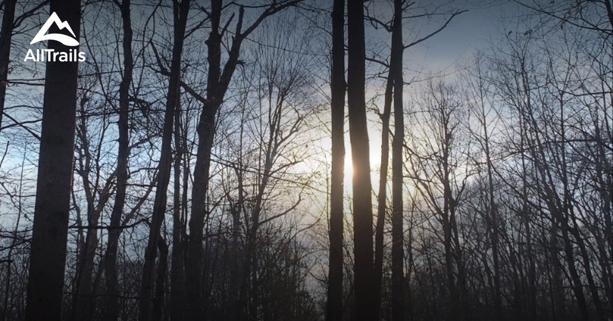 Best hikes and trails in Boardman Park | AllTrails