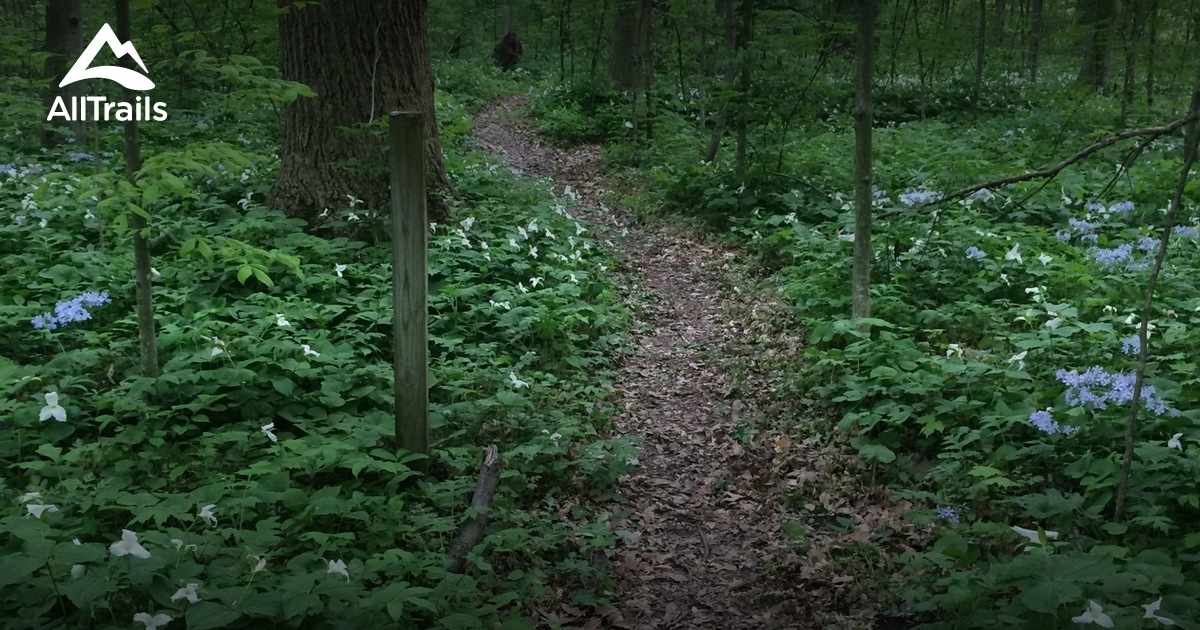 Best hikes and trails in Fogwell Forest Nature Preserve | AllTrails