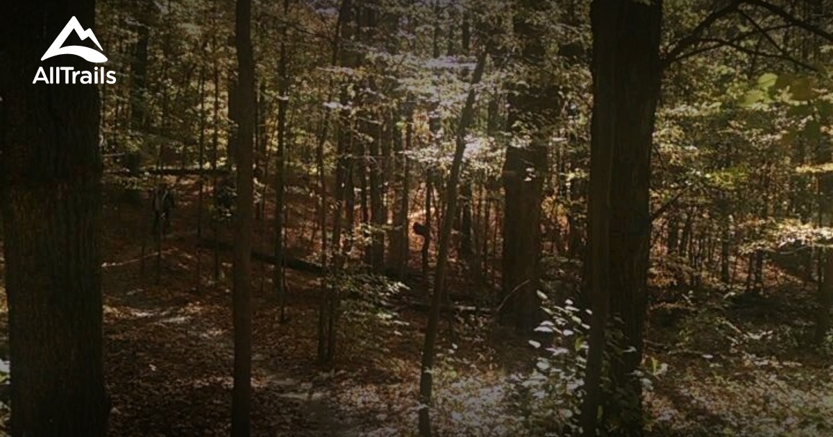 Best trails in Rogue River State Game Area, Michigan | AllTrails