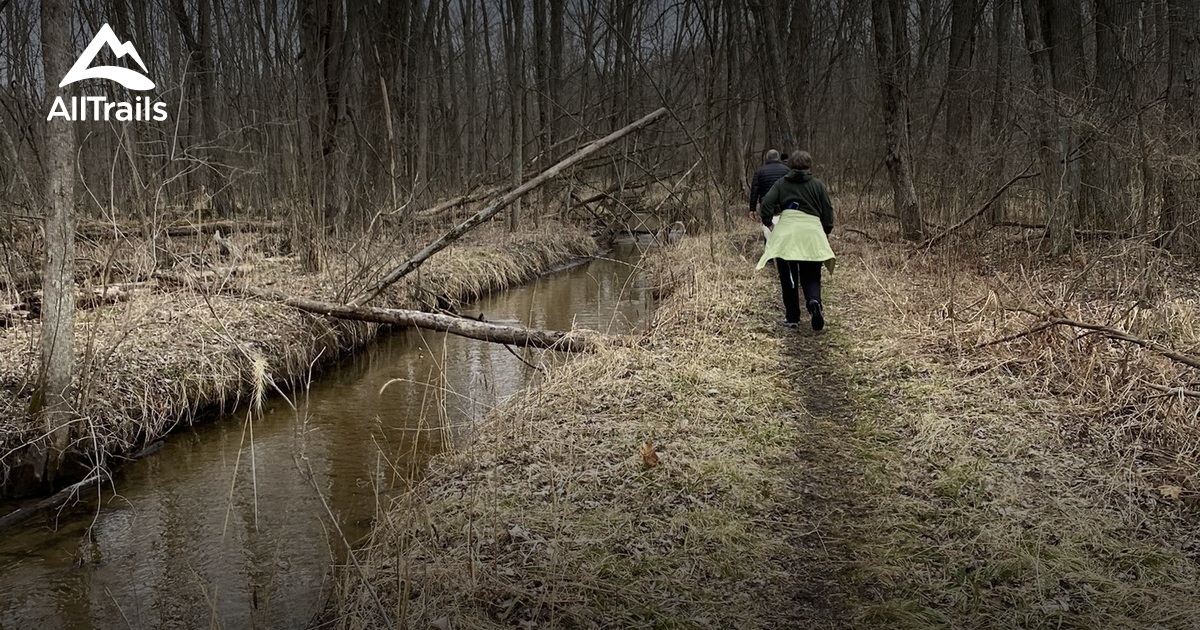 Best bird watching trails in Rogue River State Game Area | AllTrails