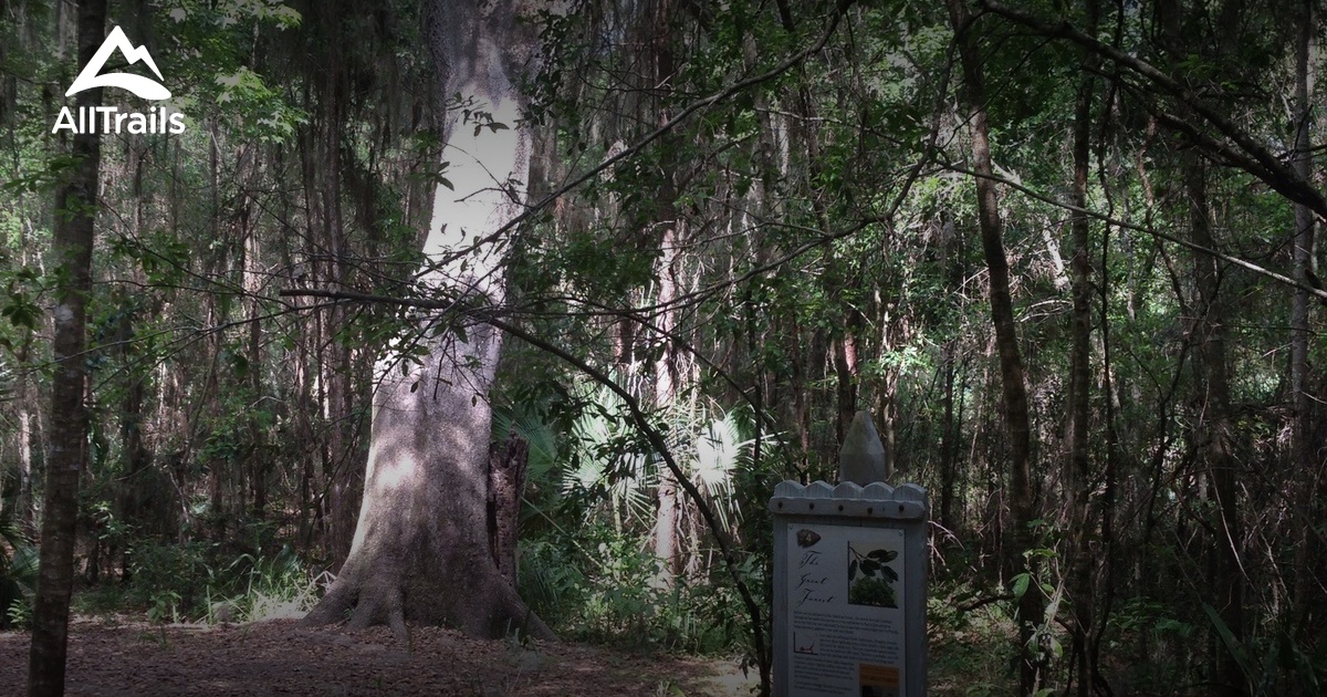 Best hikes and trails in Fort King National Historic Park | AllTrails