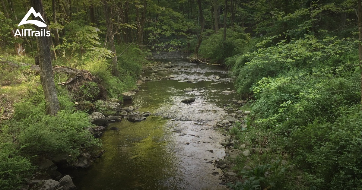 Best hikes and trails in Centennial Watershed State Forest | AllTrails