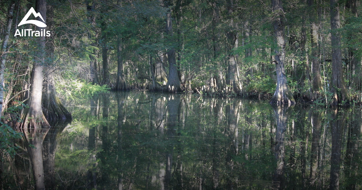 Best Trails in Flying Eagle Preserve - Florida | AllTrails