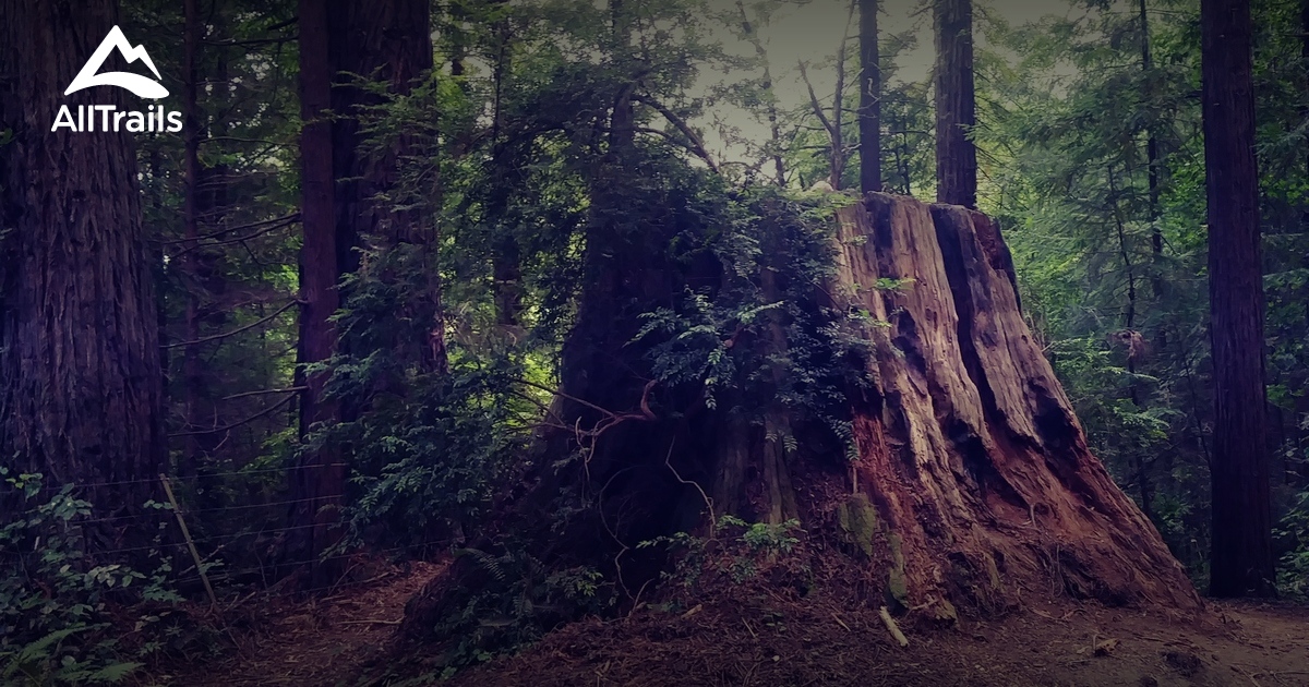 Best hikes and trails in Rohner Park | AllTrails