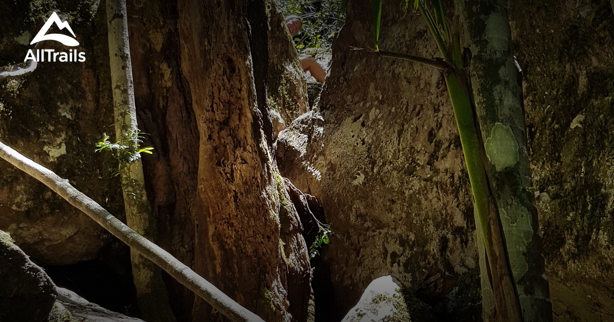 10 Best hikes and trails in Whian Whian State Conservation Area | AllTrails