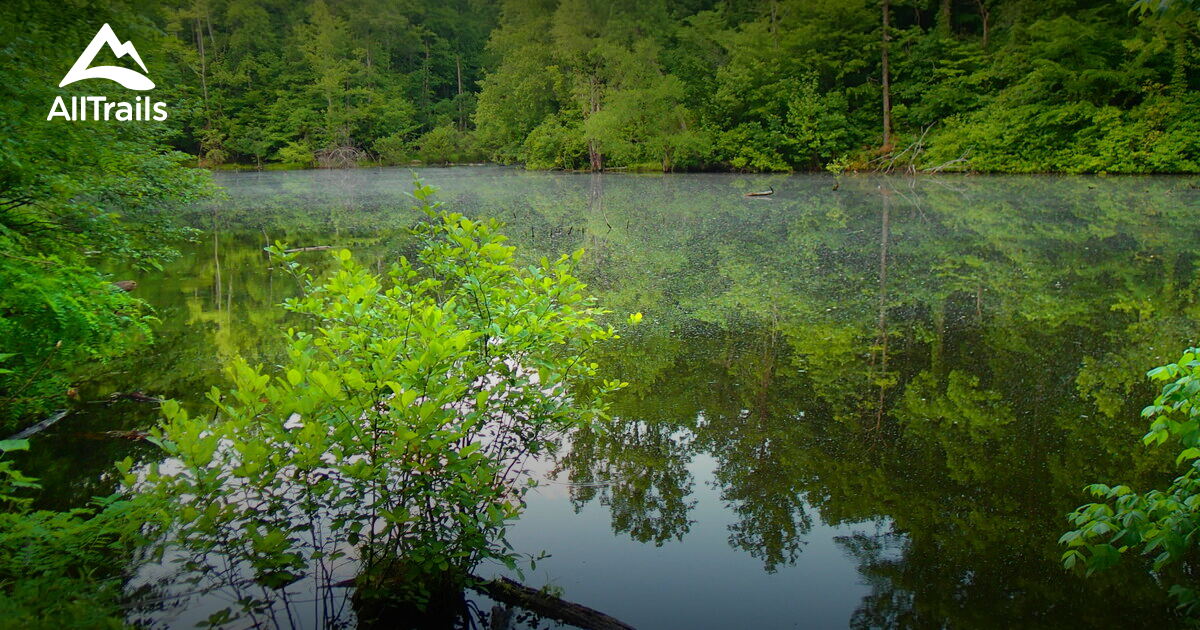Best hikes and trails in Doe Run Park | AllTrails