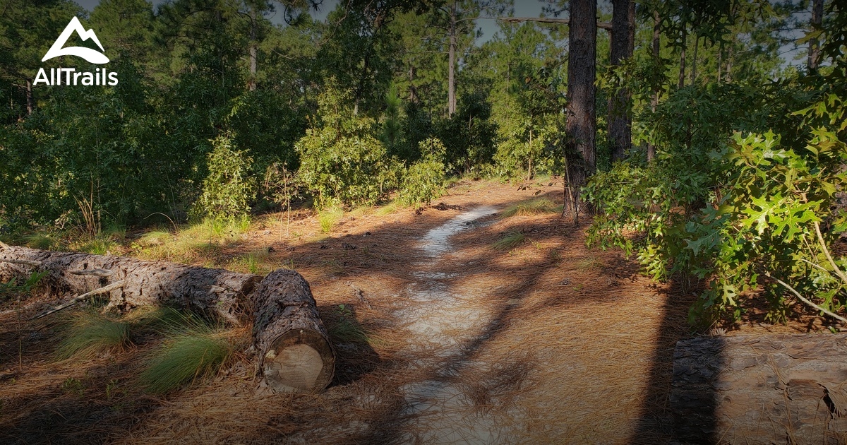 Best Trails in Smith Lake Recreation Area - North Carolina | AllTrails