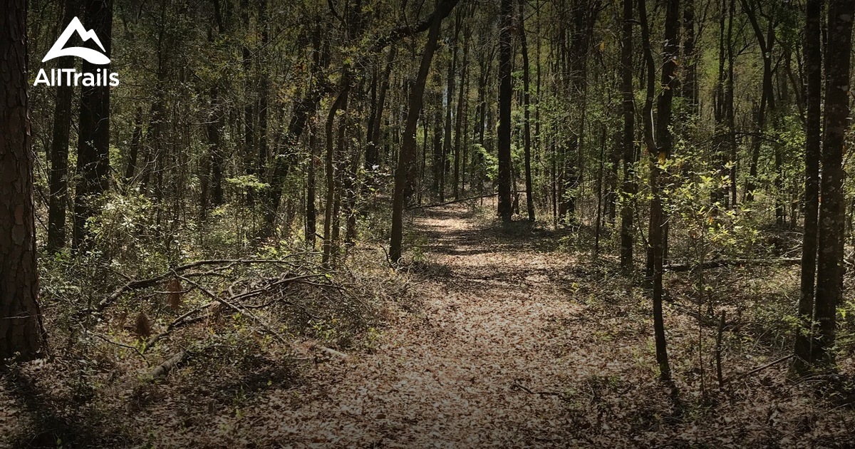 Best Trails in Twin Rivers Wildlife Management Area - Florida | AllTrails