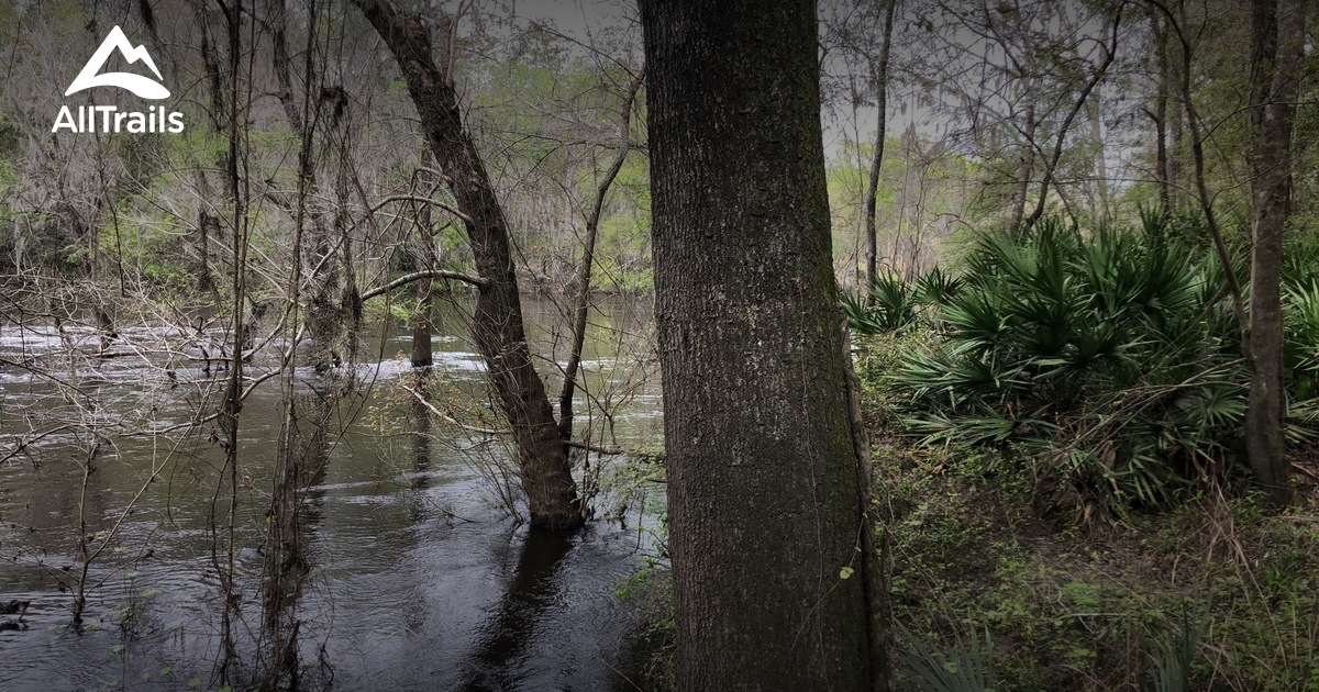 Best hikes and trails in Twin Rivers Wildlife Management Area | AllTrails