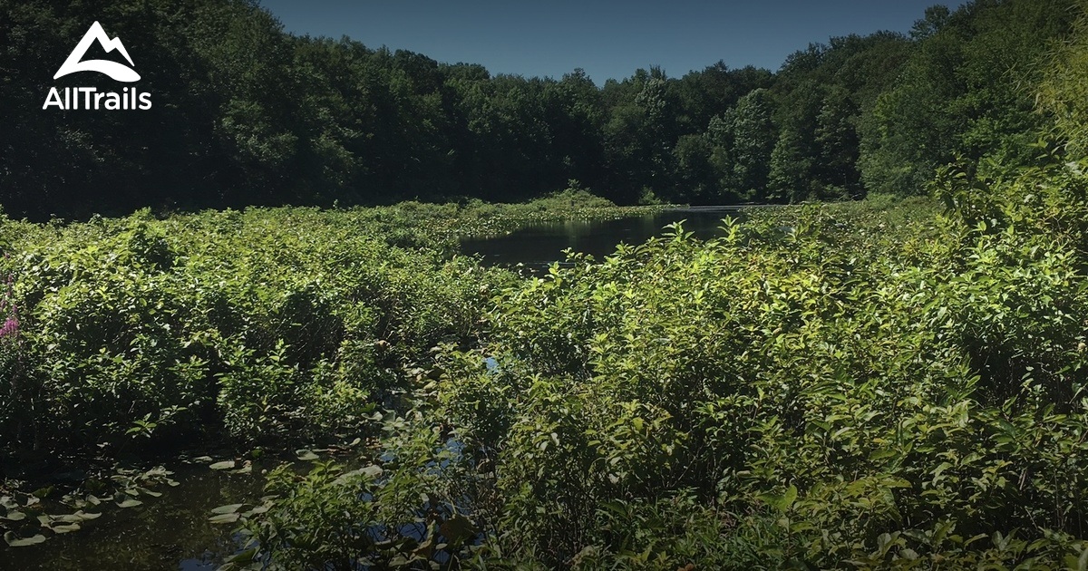 Best hikes and trails in Tenafly Nature Center | AllTrails